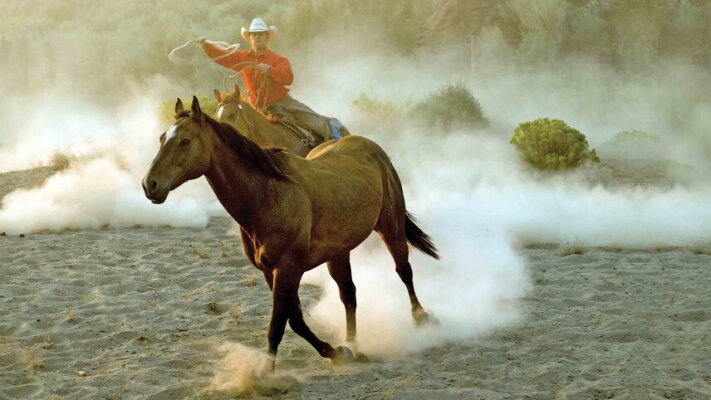 Tauck USA Tours - 2025 & 2026 Seasons