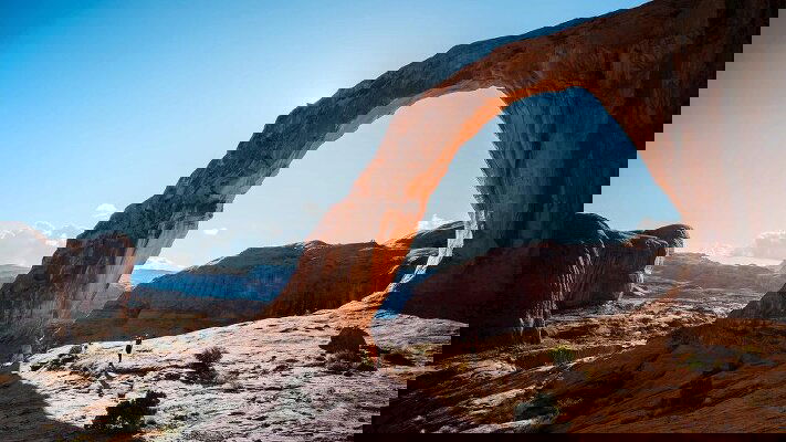 Trafalgar USA Tours - 2024-2026 Seasons