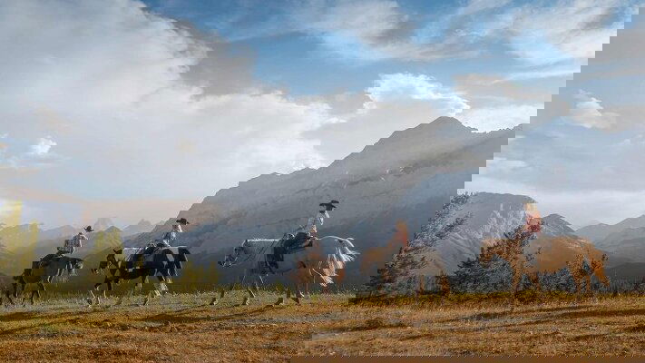 Trafalgar Canada & Alaska Tours - 2025-2027 Seasons