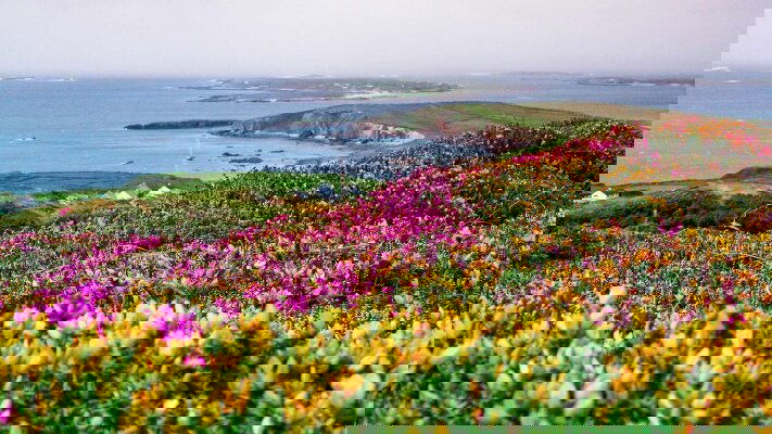 Trafalgar Tours - 2025-2027 Seasons