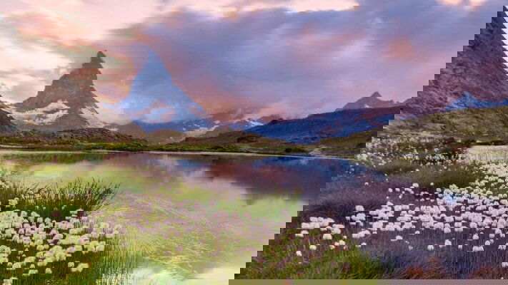 Trafalgar Tours & River Cruises - 2025-2027 Seasons