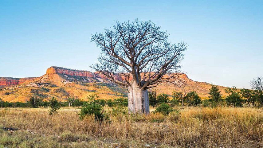 Kimberley and Northern Territory Highlights - Travelmarvel (10 Days ...
