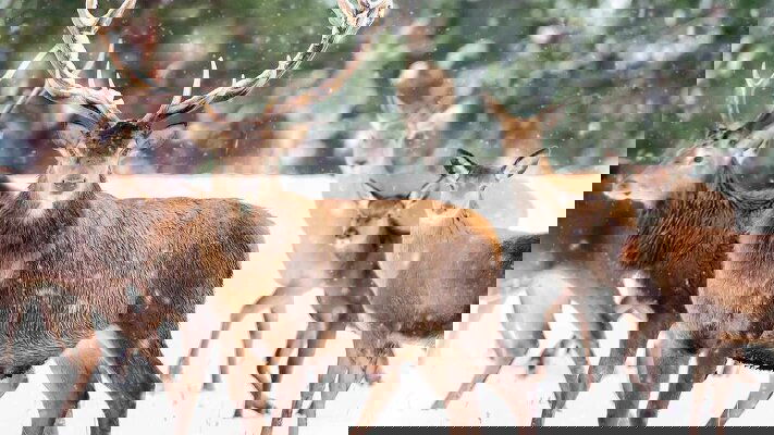 Travelmarvel Tours & River Cruises - 2025 & 2026 Seasons